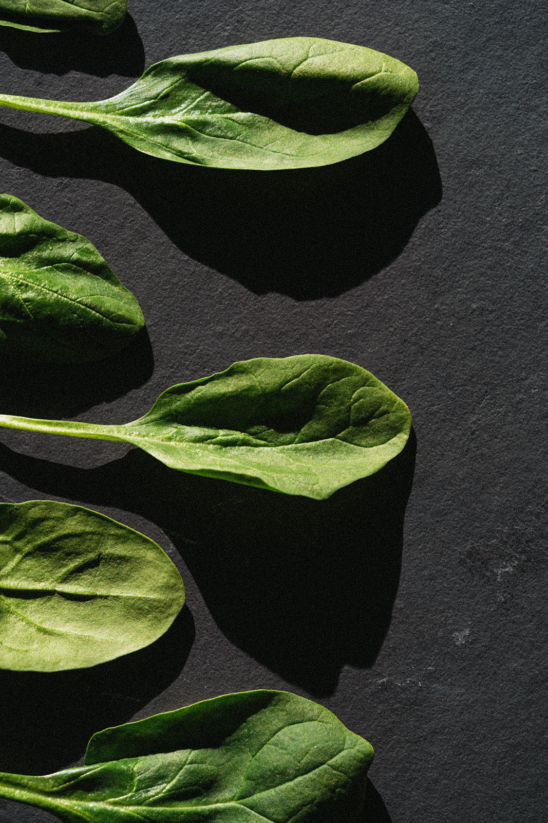 Anemia 101: Here's What We Need to Know