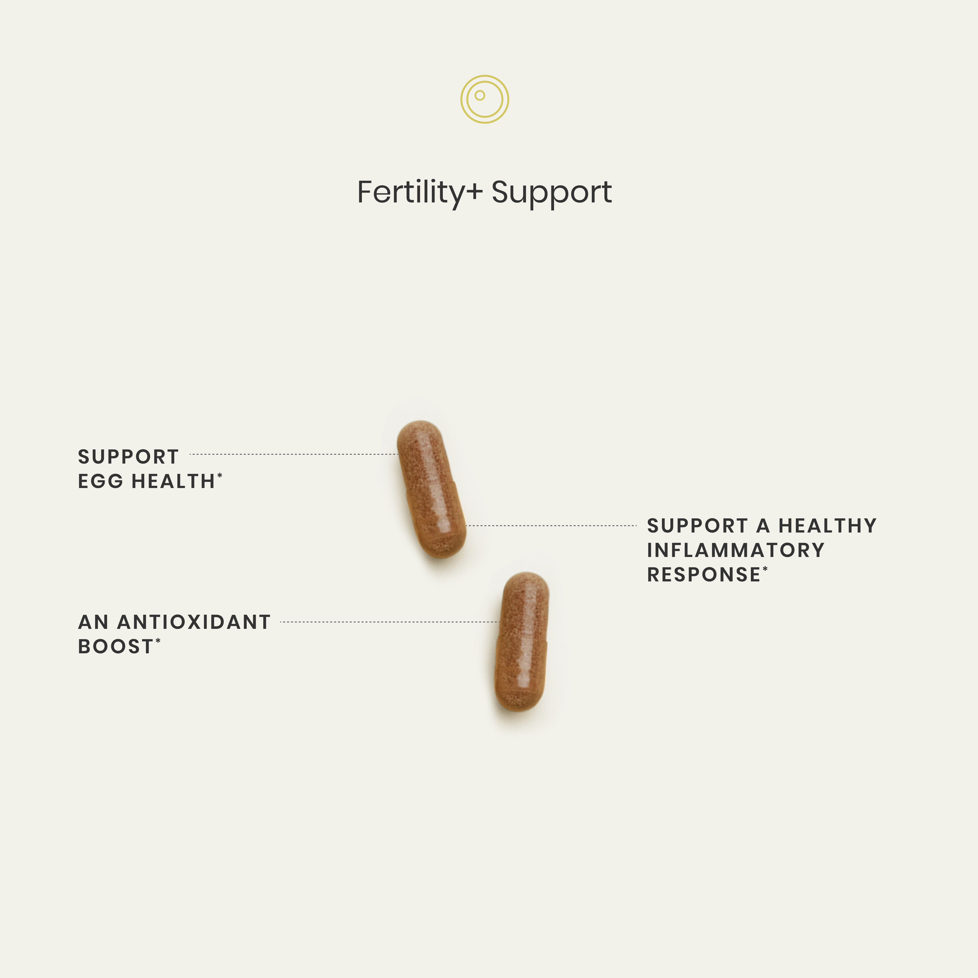 Fertility Support - Supplements for Reproductive Health