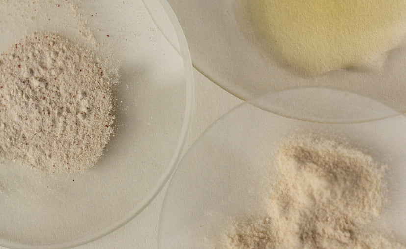Prenatals - First Trimester Pregnancy Supplements | Perelel