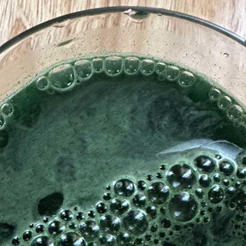 Pregnancy-Safe Greens Powder - Synbiotic Greens | Perelel